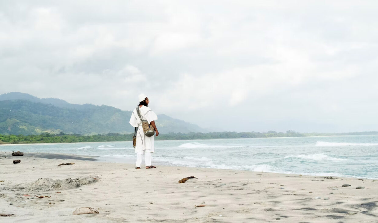 conoce el tayrona - Tour Parque Tayrona